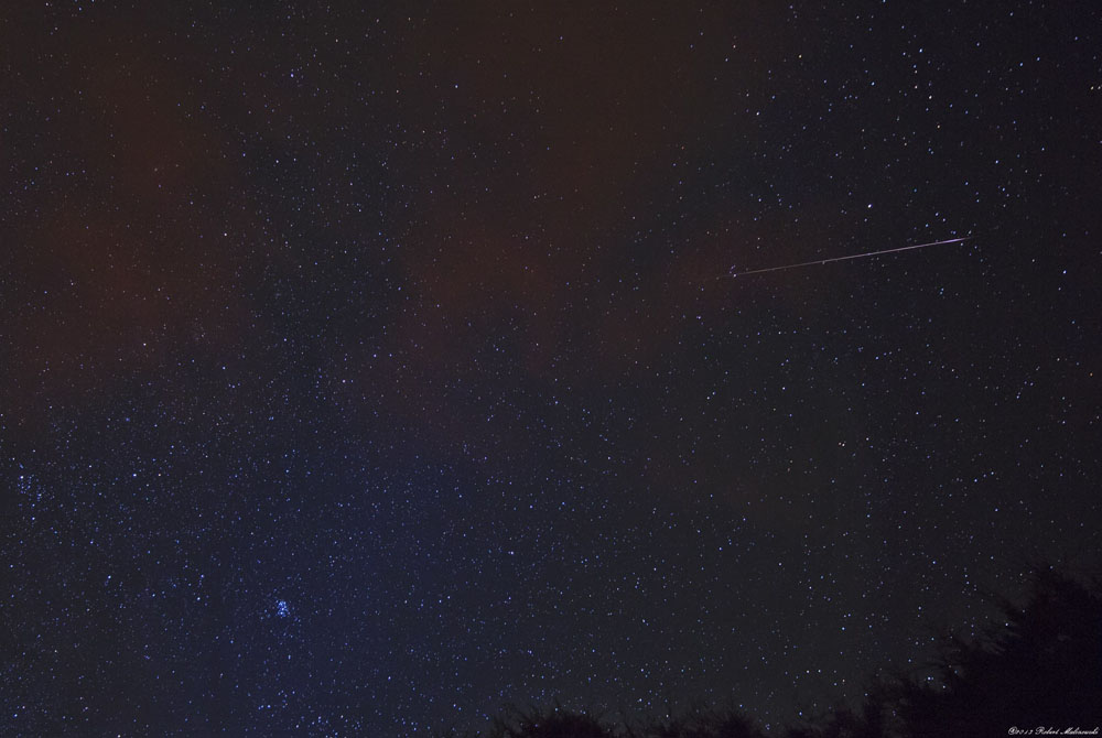 Perseids 2013 | Robert Malinowski - Sky & Telescope