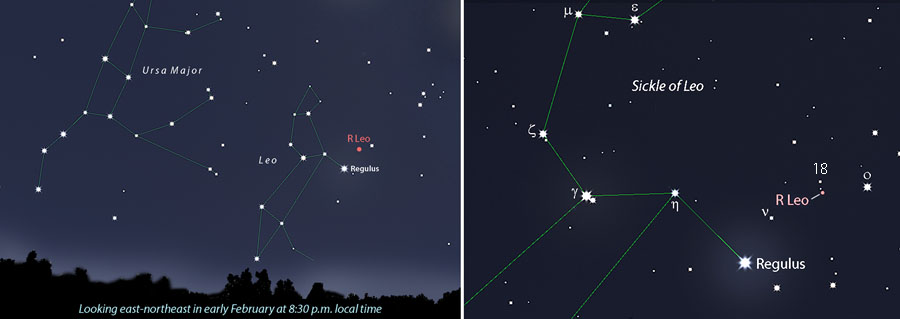 Take a Look at R Leonis, Leo's Giant Ticker - Sky & Telescope