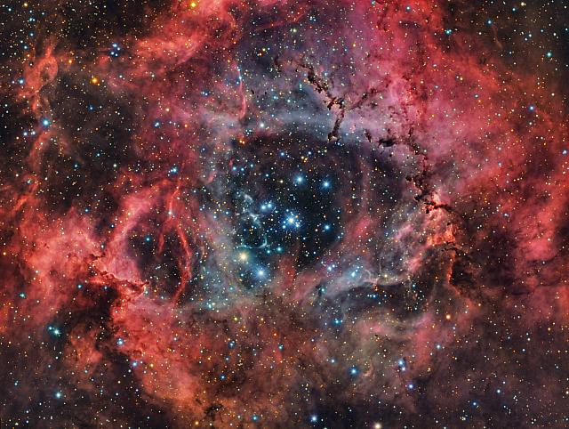 Rosetta | Vittorino Suma - Sky & Telescope