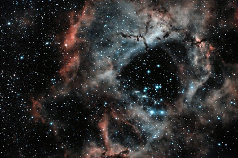Rosette Nebula NGC 2244 - Sky & Telescope