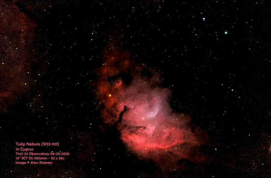 Tulip Nebula - Sky & Telescope