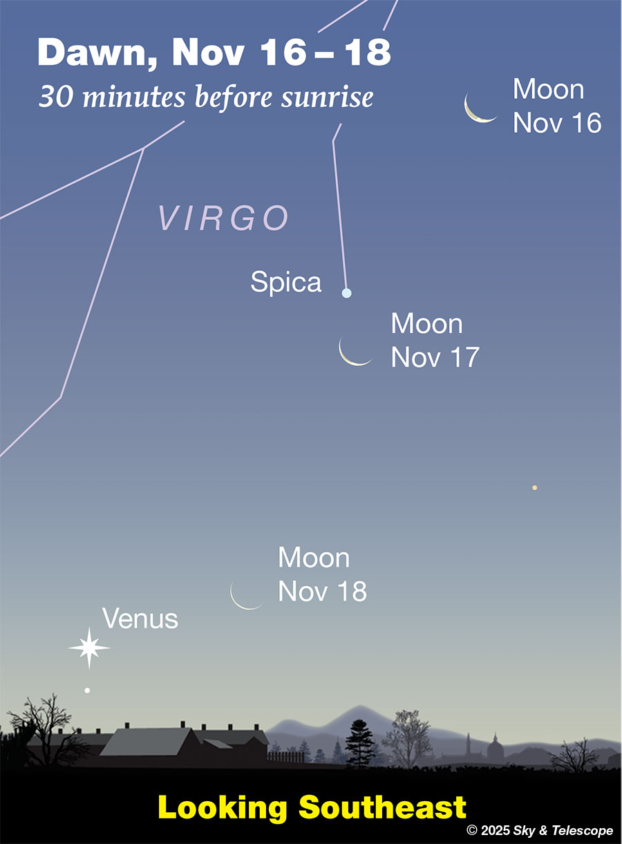 This Week's Sky at a Glance, November 14 – 23 - Sky & Telescope