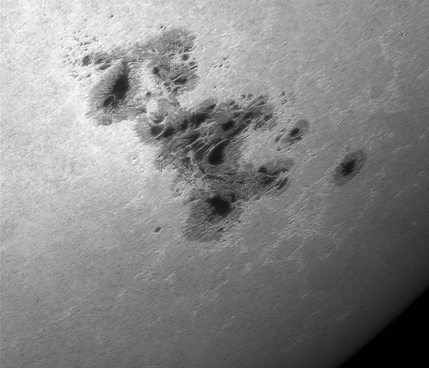 Solar sunspots group AR 3664 - Sky & Telescope