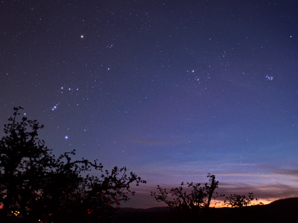 A Farewell to Orion - Sky & Telescope