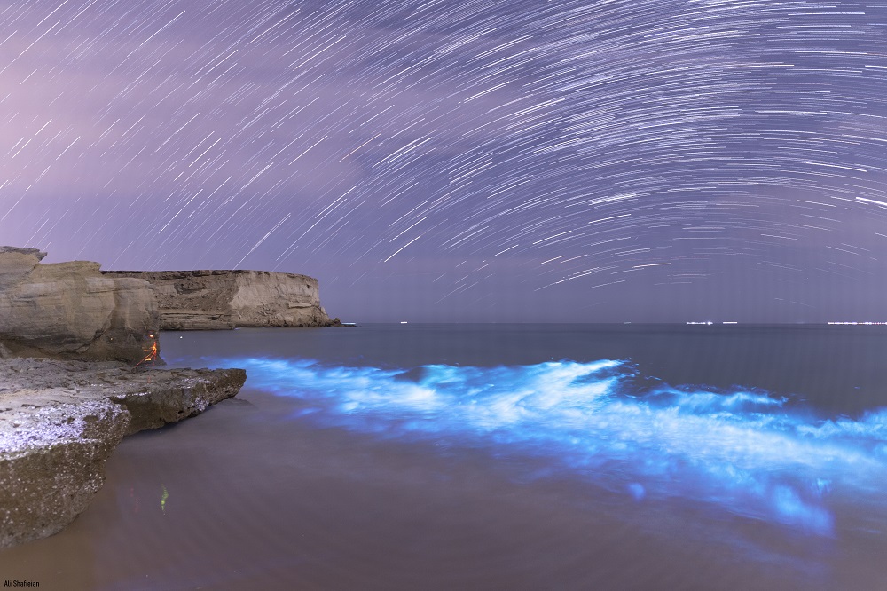 Astronomy Sketches Archives - Sky & Telescope