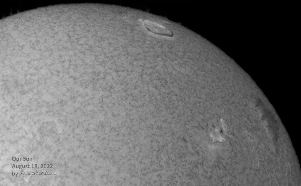 Our Sun - Circular Filament - Sky & Telescope