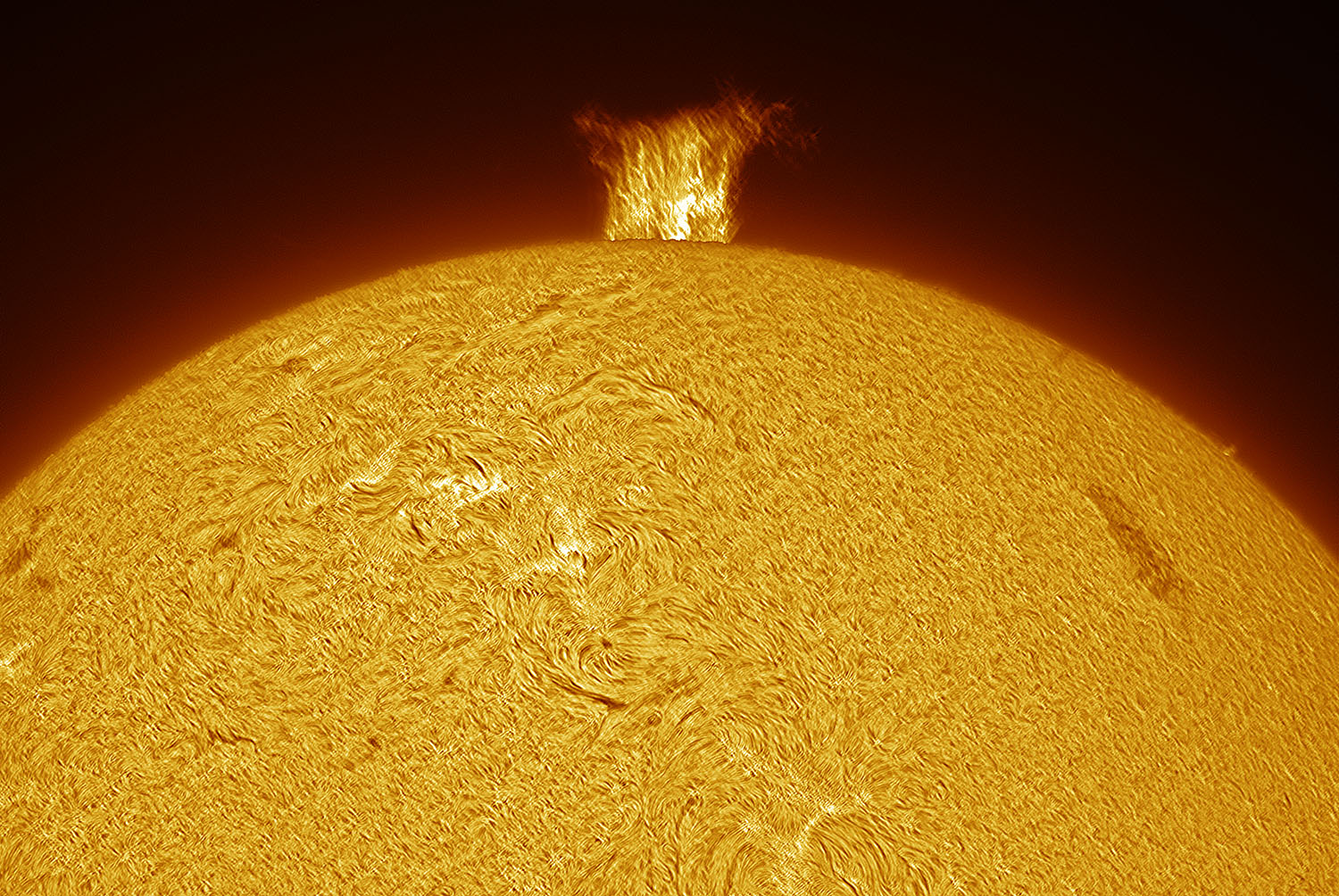 Massive Prominence, Small Sunspot - Sky & Telescope - Sky & Telescope
