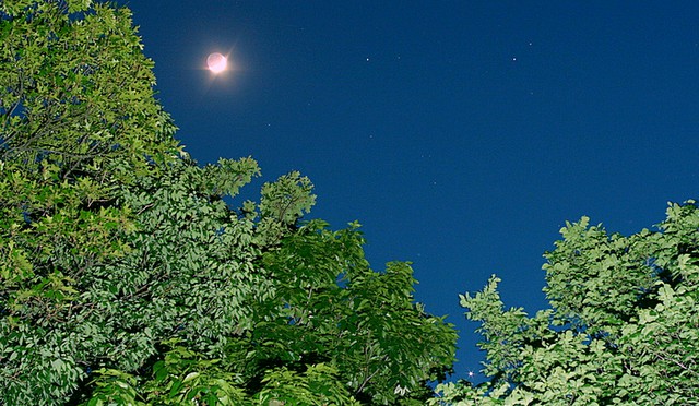 Sweet | Doug Zubenel - Sky & Telescope