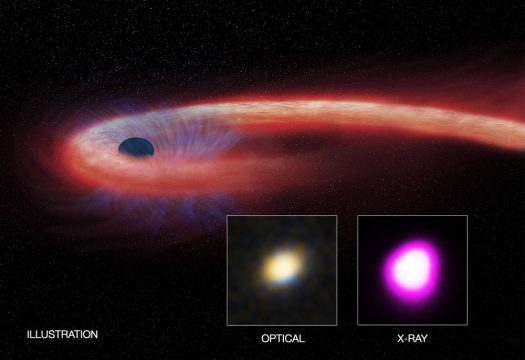 Black Hole Feeds on Star for a Decade - Sky & Telescope