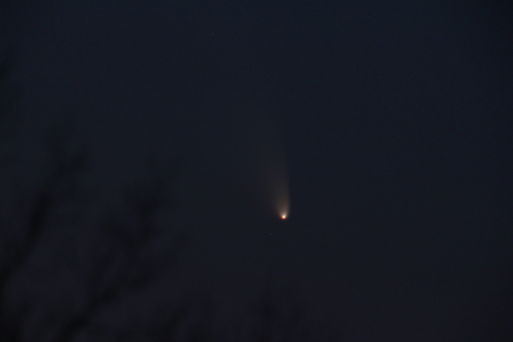 Pan-STARRS March, 13, 2013 | Victor C. Rogus - Sky & Telescope