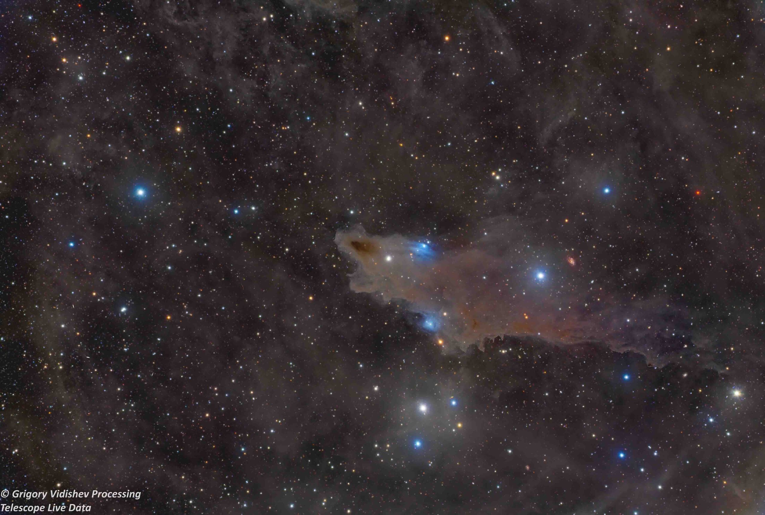 LDN1235 Shark Nebula - Sky & Telescope
