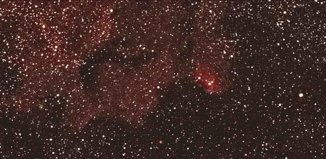 Sharpless 101 Tulip Nebula | Bill Jones - Sky & Telescope