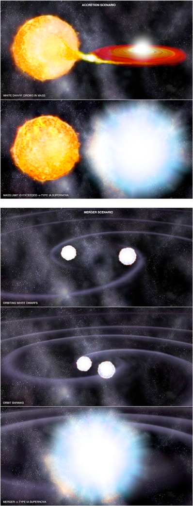 The Kavli Foundation Q&A: What Ignites Supernova Explosions? - Sky ...