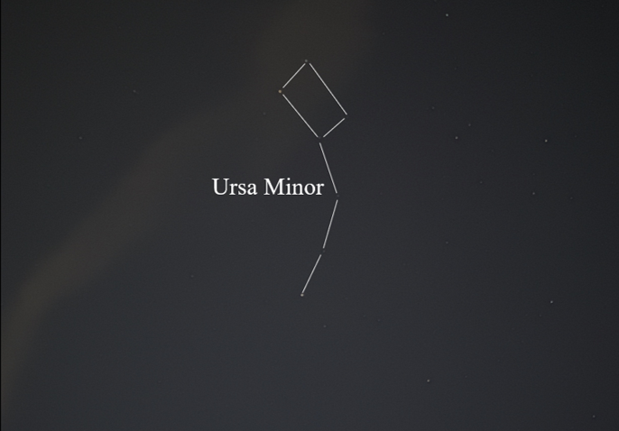 Ursa Minor Constellation Ursa Minor Little Bear Royalty Free Vector