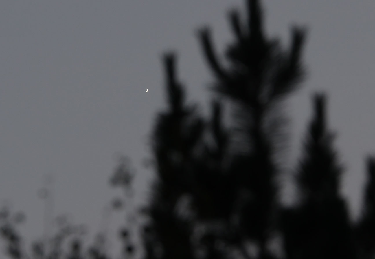 View the Thin Crescent of Venus - Sky & Telescope