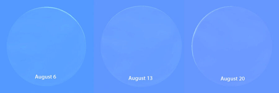 View the Thin Crescent of Venus - Sky & Telescope