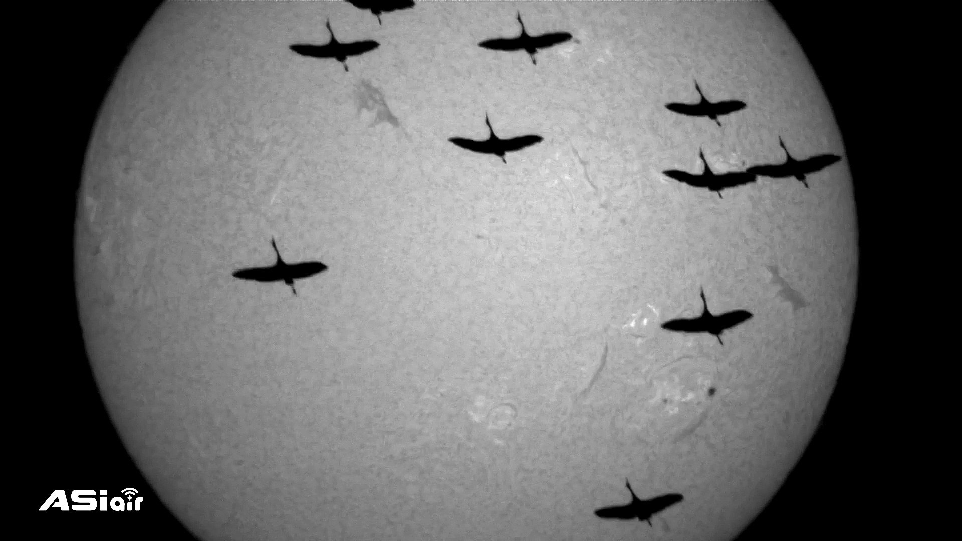 Birds Transit the Sun - Sky & Telescope