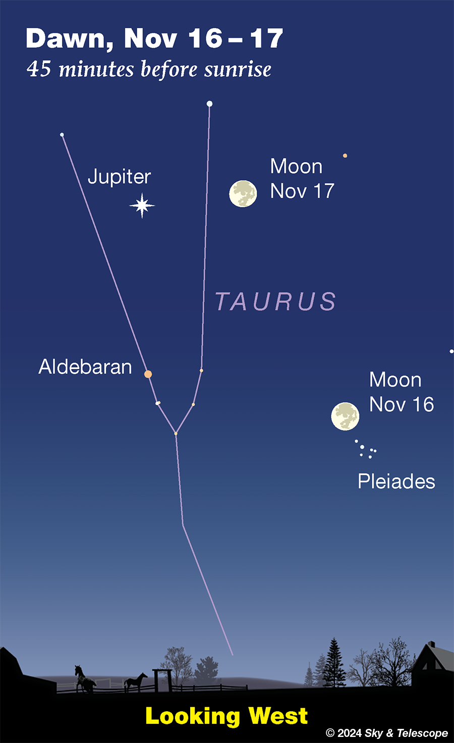 This Week's Sky at a Glance, November 15 – 24 - Sky & Telescope