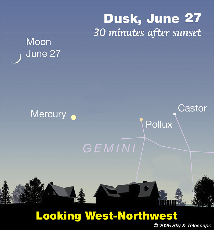 Xvideo iris rodriguez the agency's contact number plus