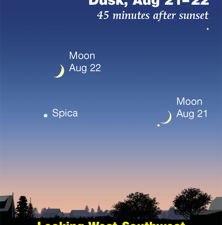 This Week's Sky at a Glance, August 14 – 22 - Sky & Telescope