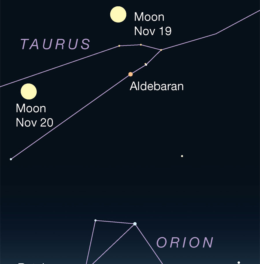 This Week's Sky at a Glance, November 12 – 20 - Sky & Telescope