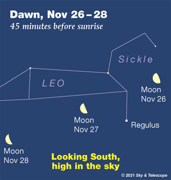 This Week's Sky at a Glance, November 19 – 27 - Sky & Telescope