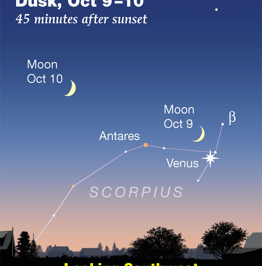 This Week's Sky at a Glance, October 1 – 9 - Sky & Telescope