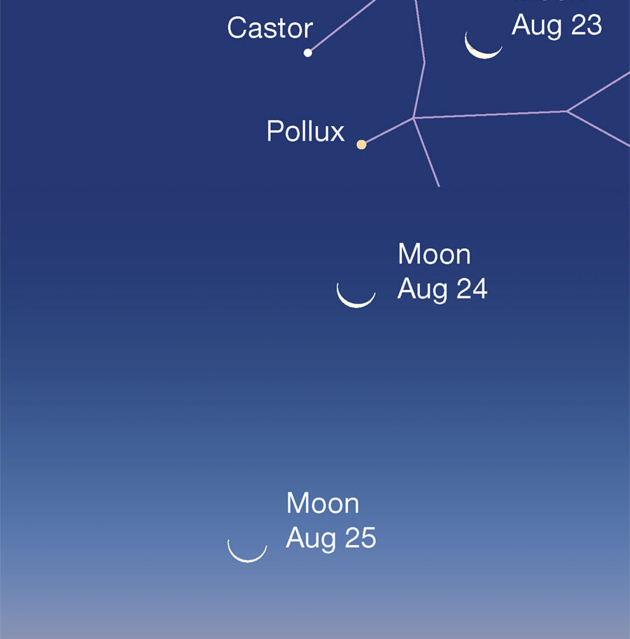 This Week's Sky at a Glance, August 19 – 27 - Sky & Telescope