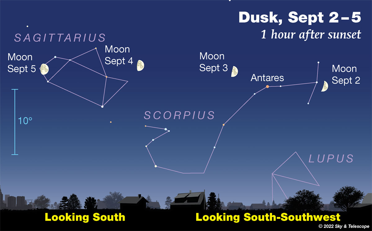 This Week's Sky at a Glance, Aug. 26 – Sept. 3 - Sky & Telescope