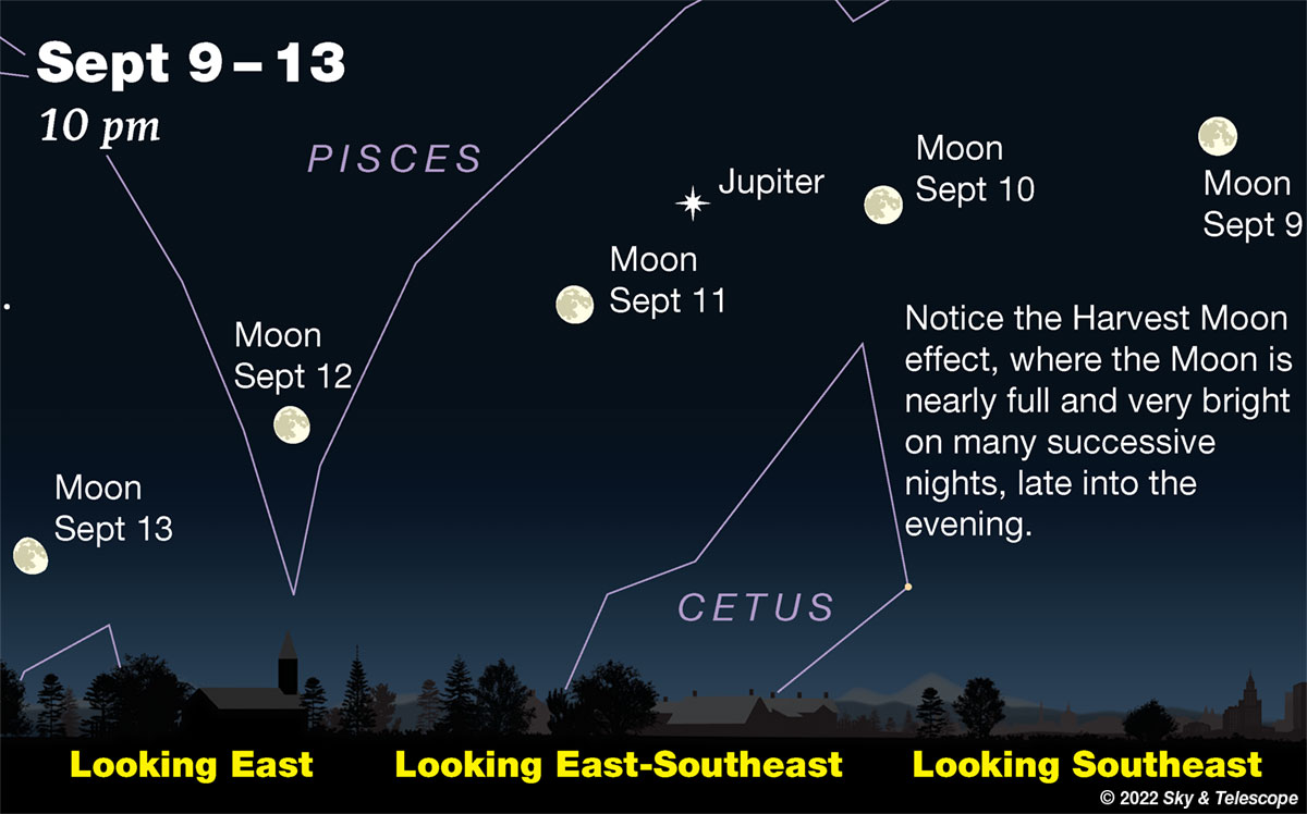 This Week's Sky at a Glance, September 2 – 10 - Sky & Telescope