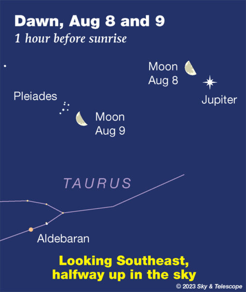 This Week's Sky at a Glance, August 4 – 13 - Sky & Telescope