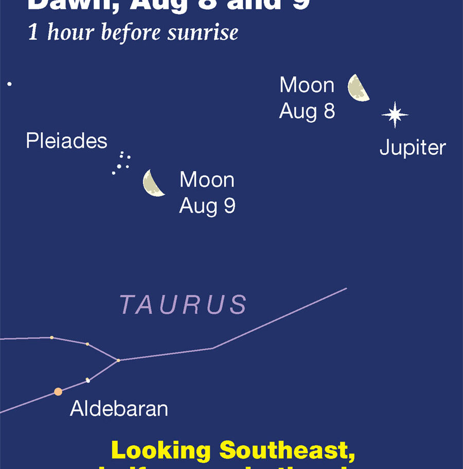 This Week's Sky at a Glance, August 4 – 13 - Sky & Telescope