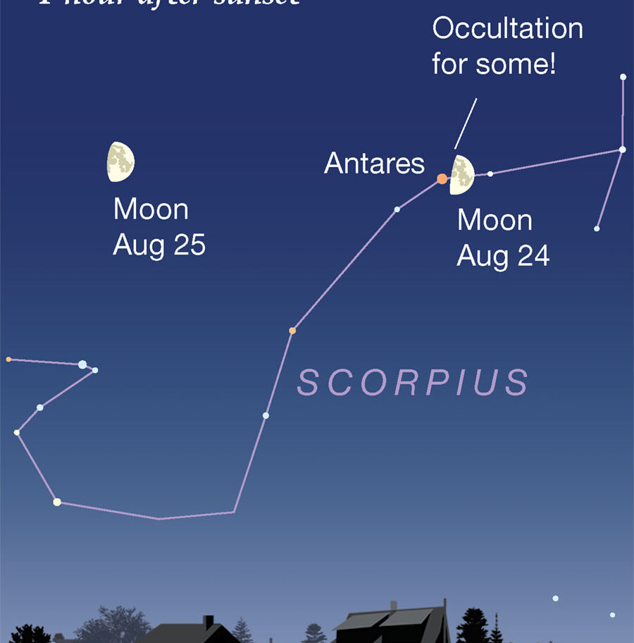 This Week's Sky at a Glance, August 18 – 27 - Sky & Telescope
