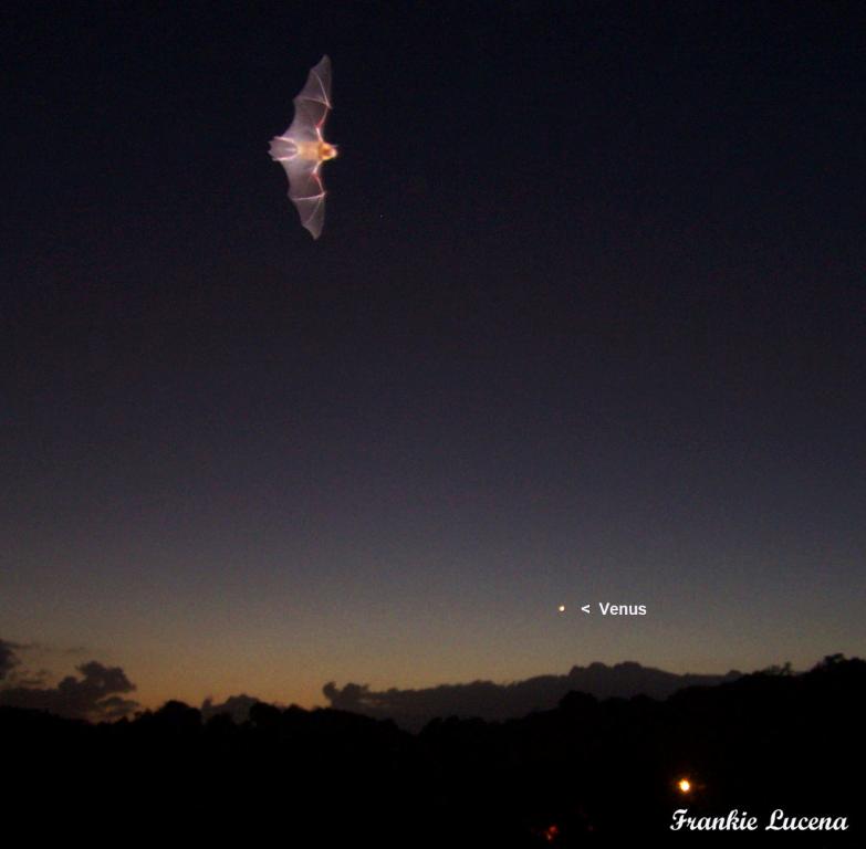 Sunset Partners | Frankie Lucena - Sky & Telescope