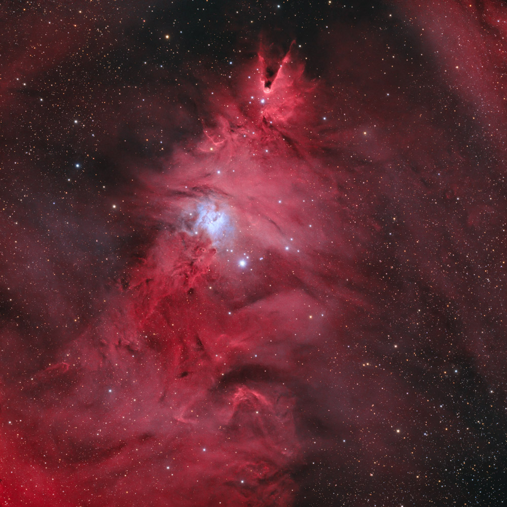 NGC 2264 "Christmas Tree" Cluster & Associated Nebulae - Sky & Telescope