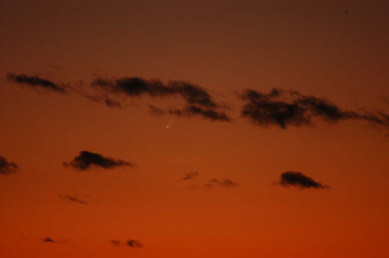 Comet McNaught Through Clouds | Charles Fulco - Sky & Telescope