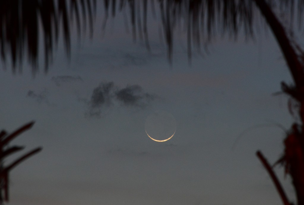 Crescent in Florida | Bernie Skoch - Sky & Telescope