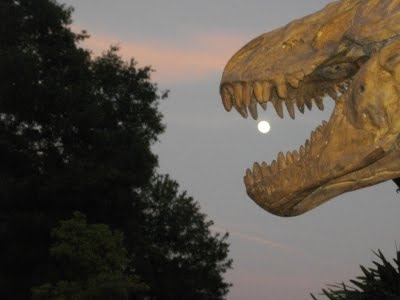 Full Moon and T-REX | Terry mclean - Sky & Telescope - Sky & Telescope