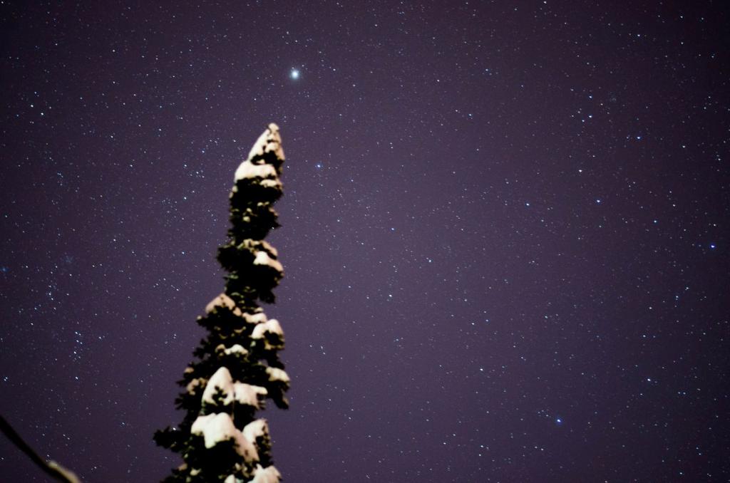 Christmas Tree | Jared Gaylord - Sky & Telescope