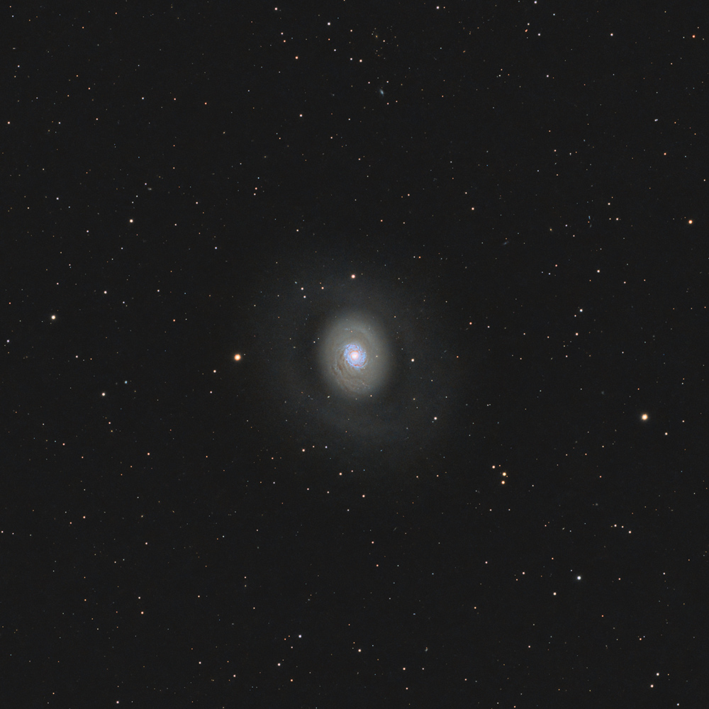 M94 "Cat's Eye" Galaxy - Sky & Telescope - Sky & Telescope