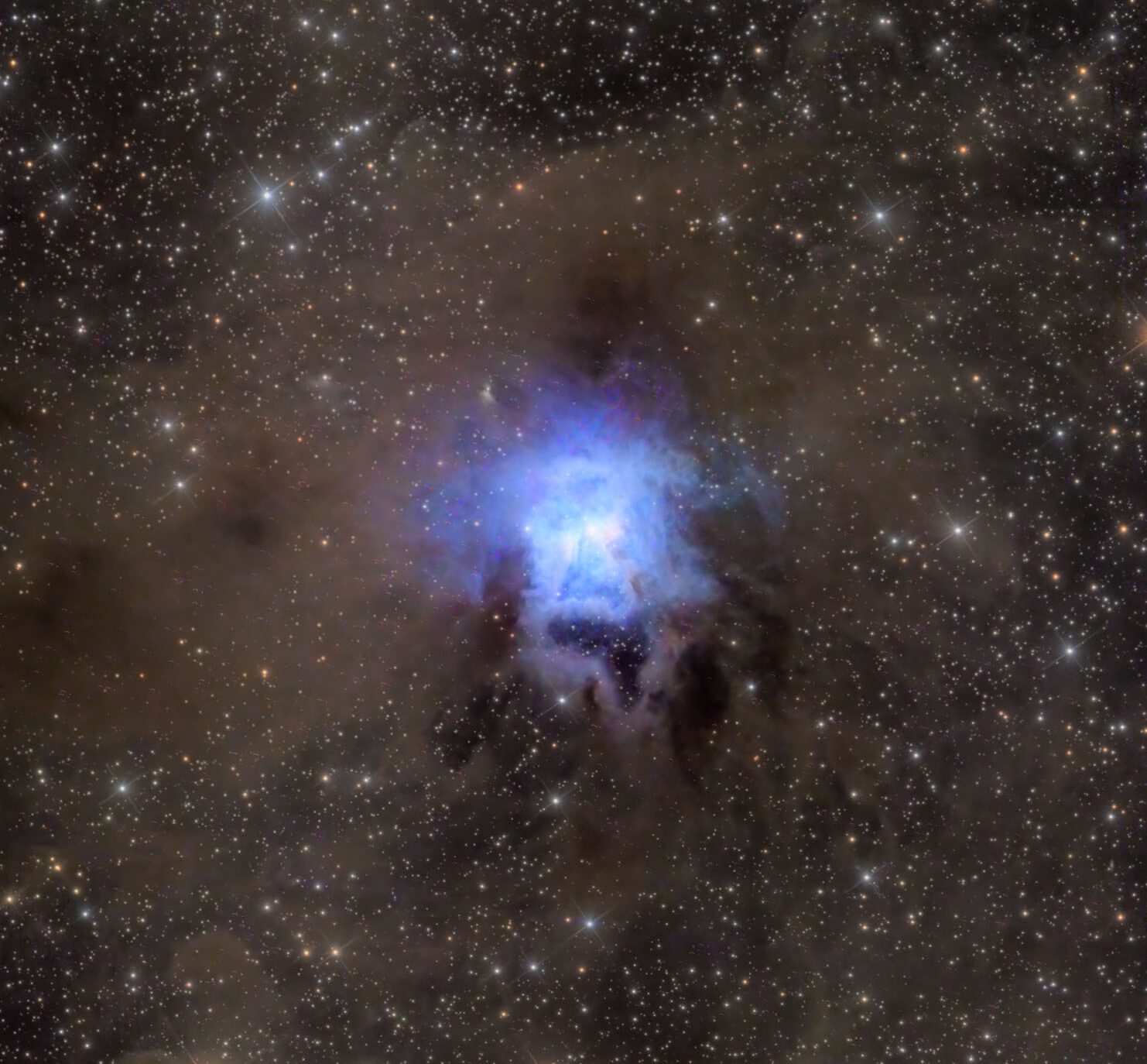 NGC 7023 - Iris nebula - Sky & Telescope - Sky & Telescope