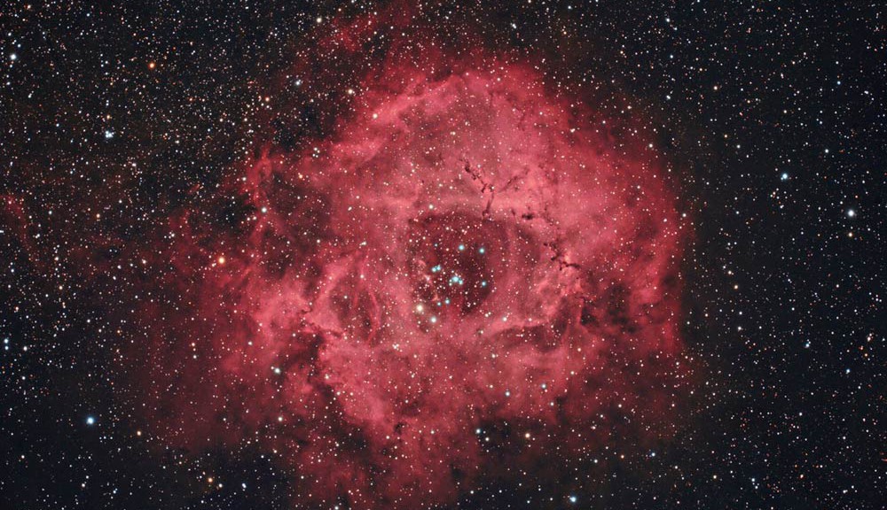 Rosette Nebula HaRGB | Hunter Wilson - Sky & Telescope