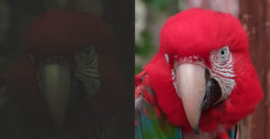 Astro-Imaging: The Truth about Raw Data - Sky & Telescope