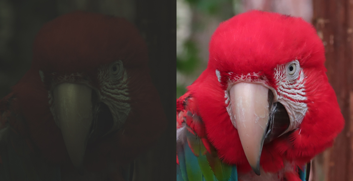 Astro-Imaging: The Truth about Raw Data - Sky & Telescope