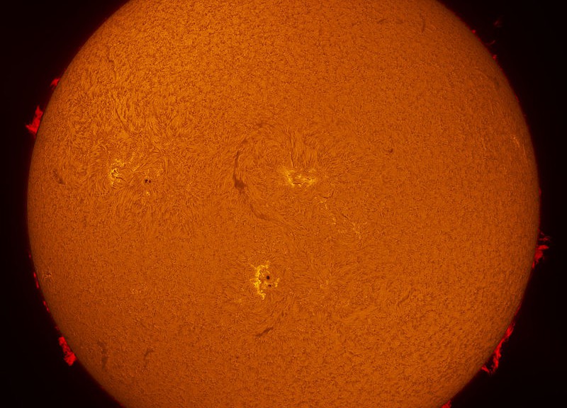 Solar Disk In H-alpha | Mike Borman - Sky & Telescope