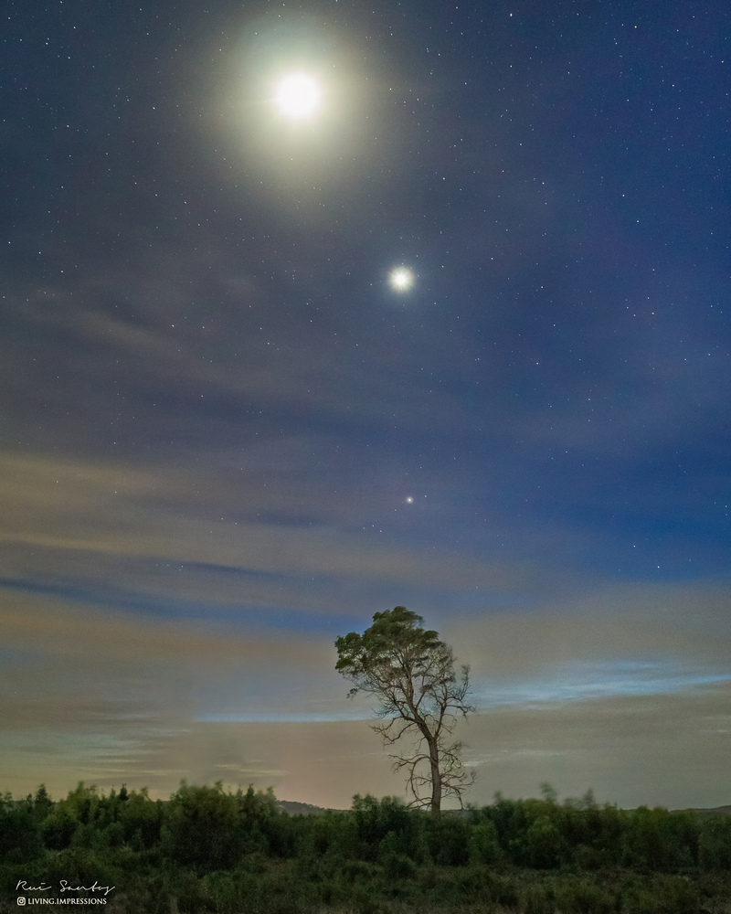 Moon, Venus and Saturn Alignment - Sky & Telescope