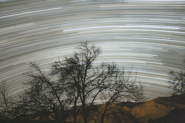 sky and tree | alireza vosoughi - Sky & Telescope